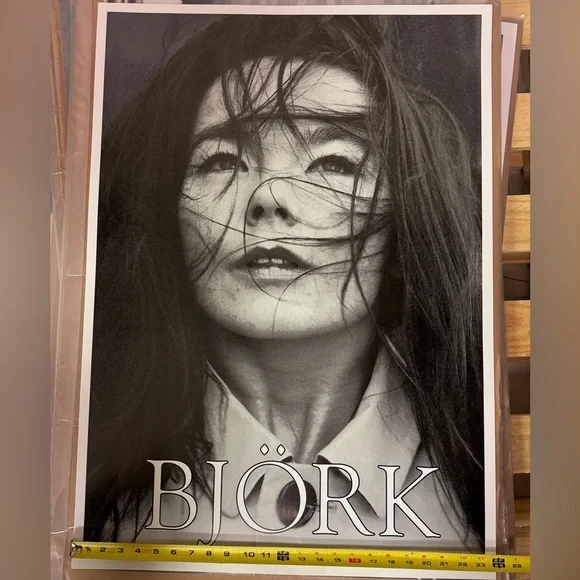 bjork 1990
